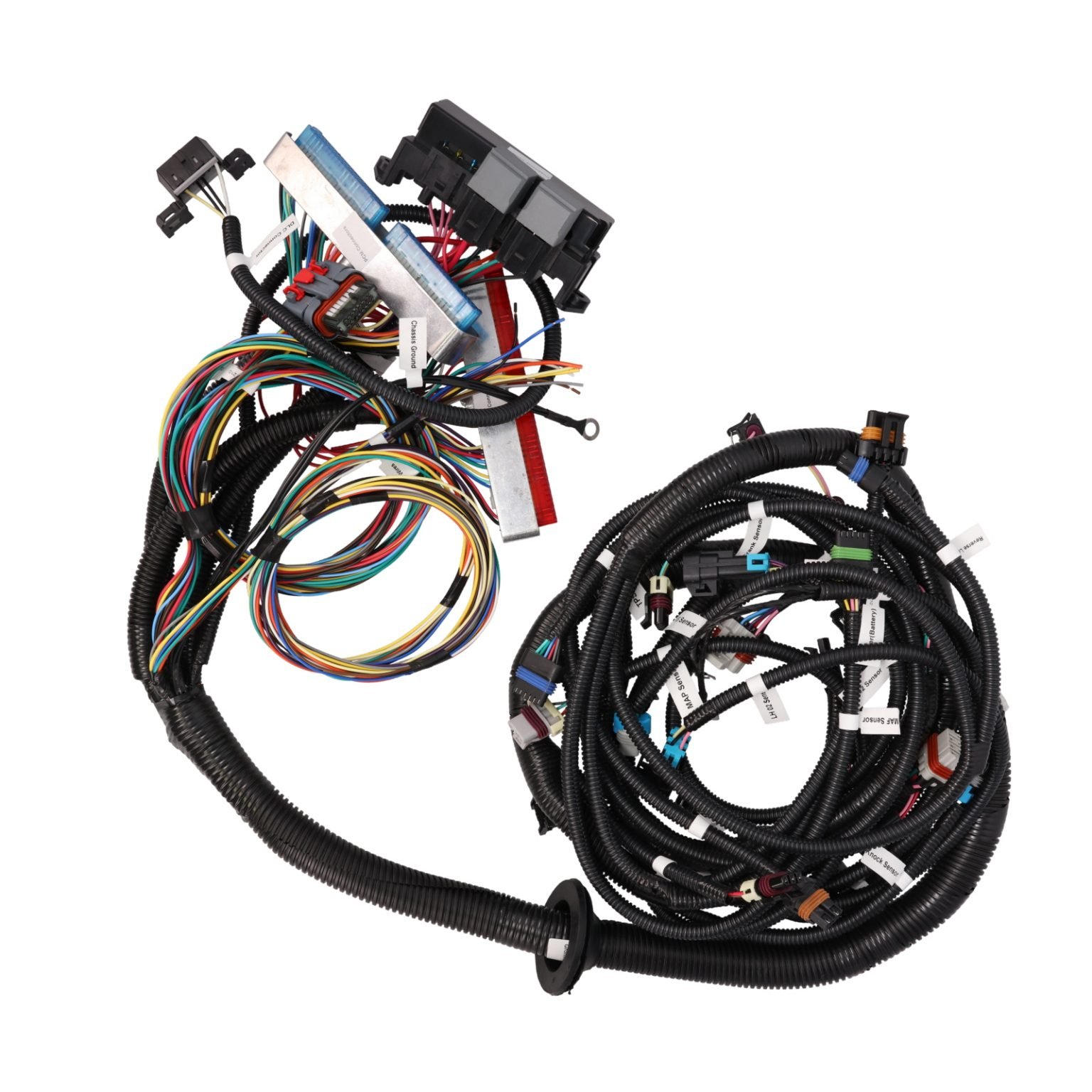LS Swap DBW Standalone 97-04 LS1 Engine Wiring Harness With 4L60E - KarlKustoms.com